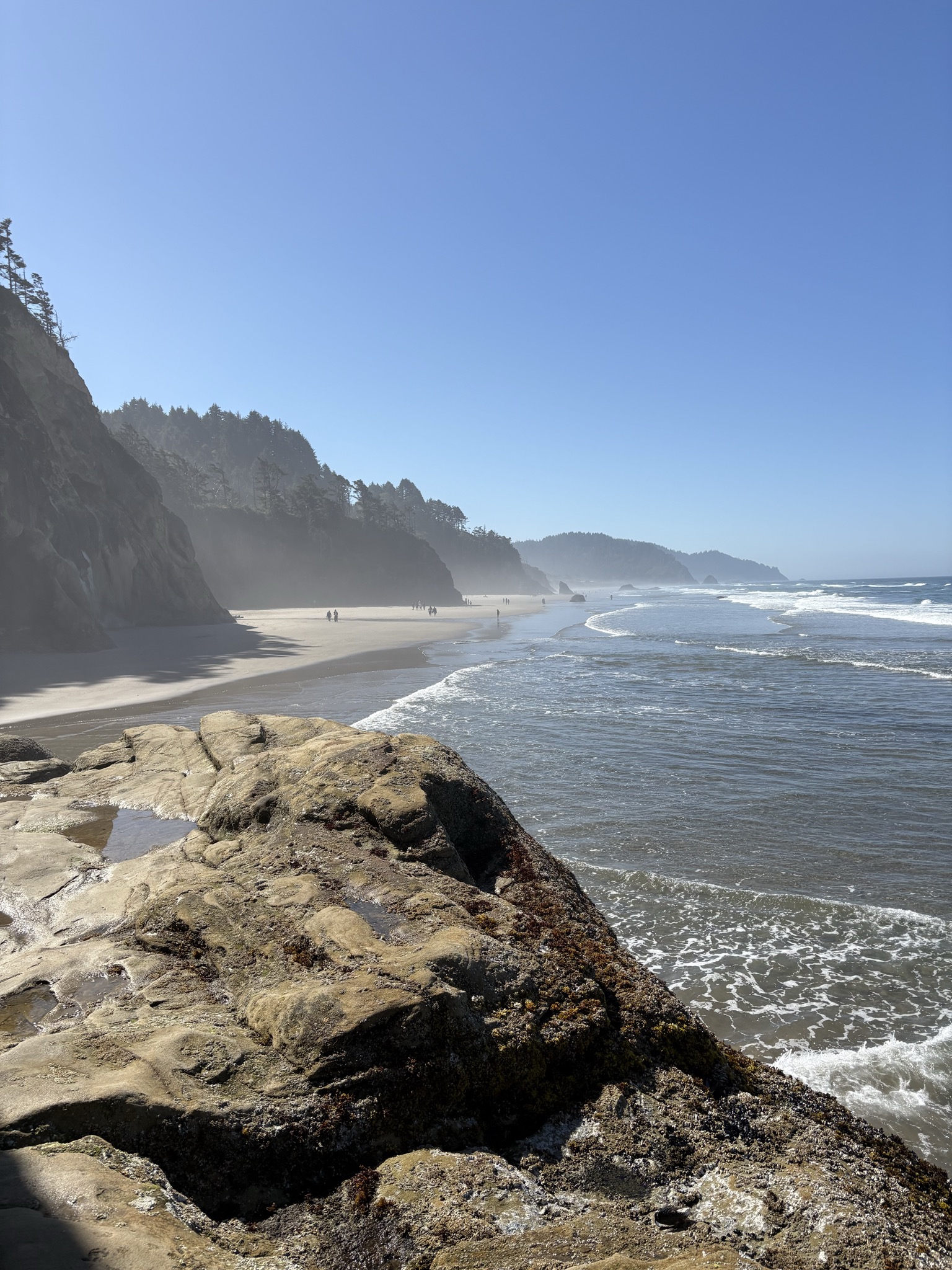 Kristina Hart | SeaPeople App