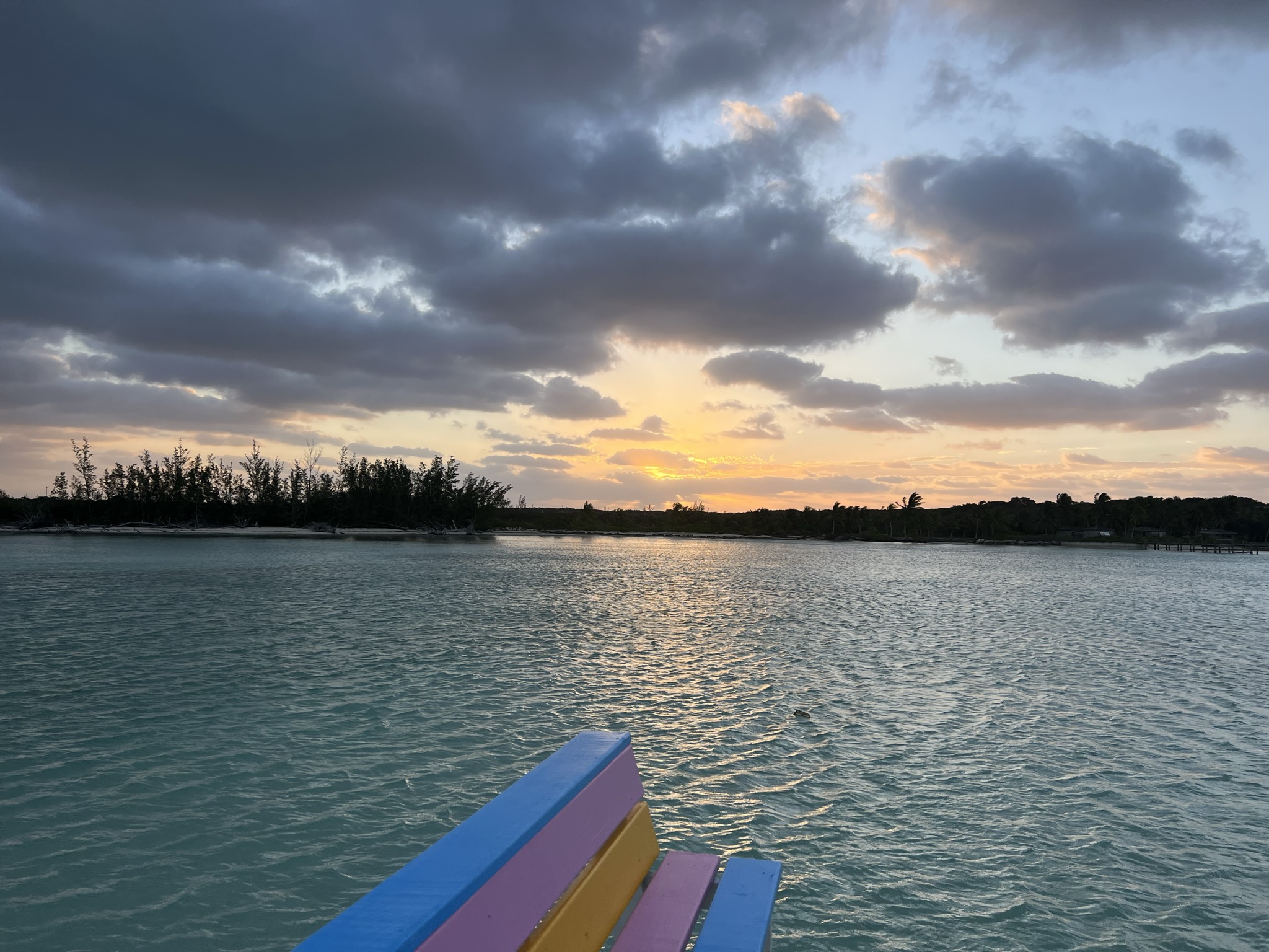 Scott Simons | SeaPeople App