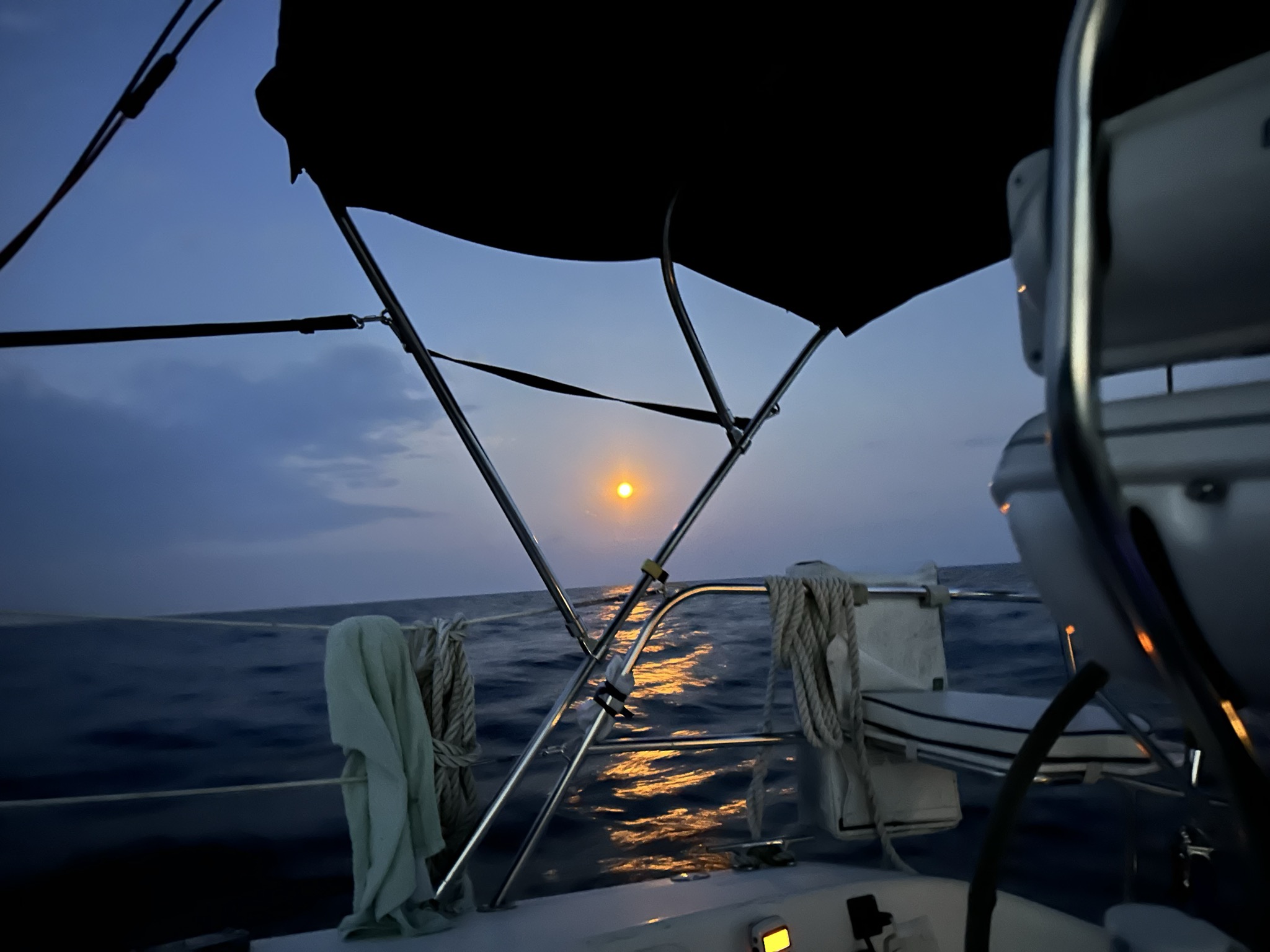 Nicholas Williams | SeaPeople App