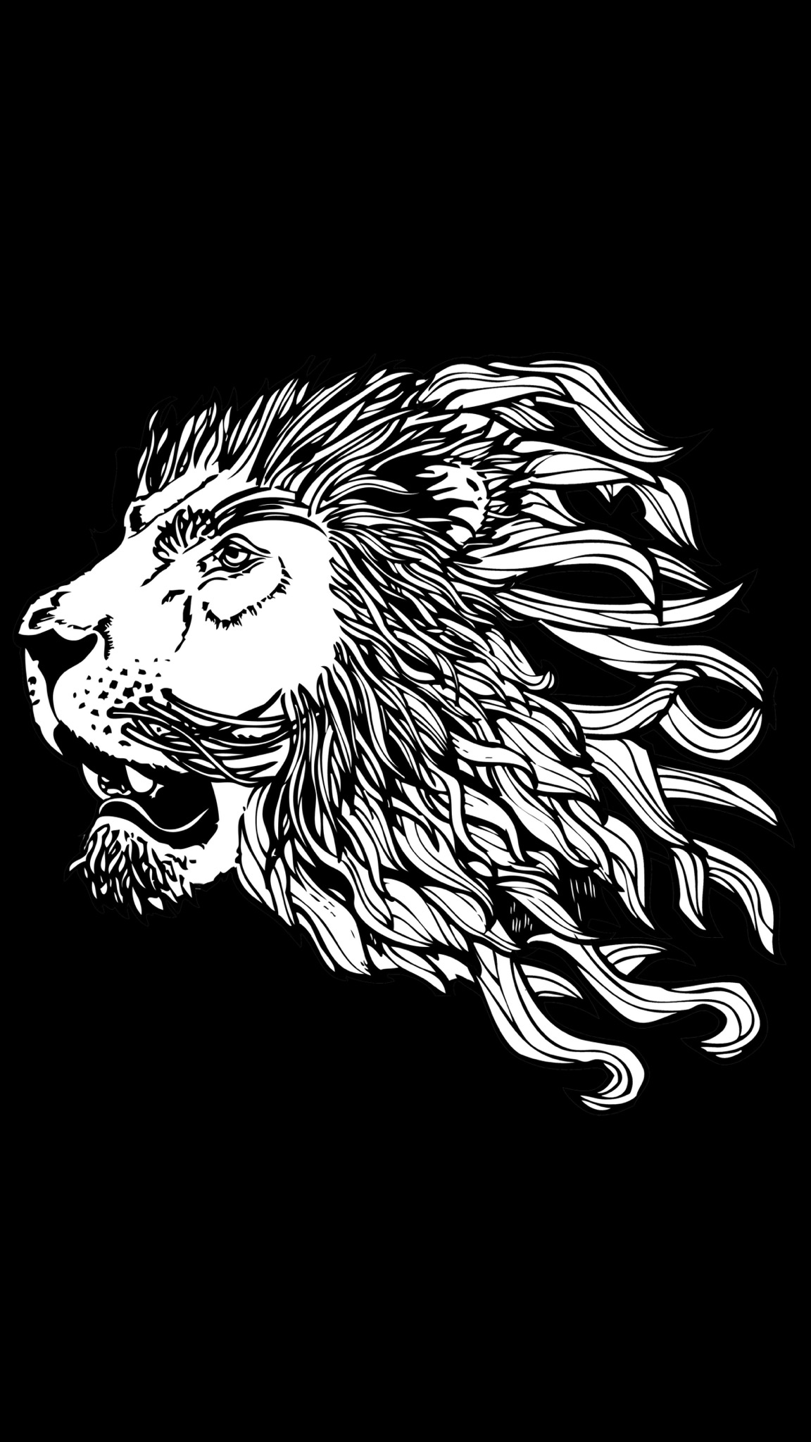 Scott Conforti Jr | SeaPeople App