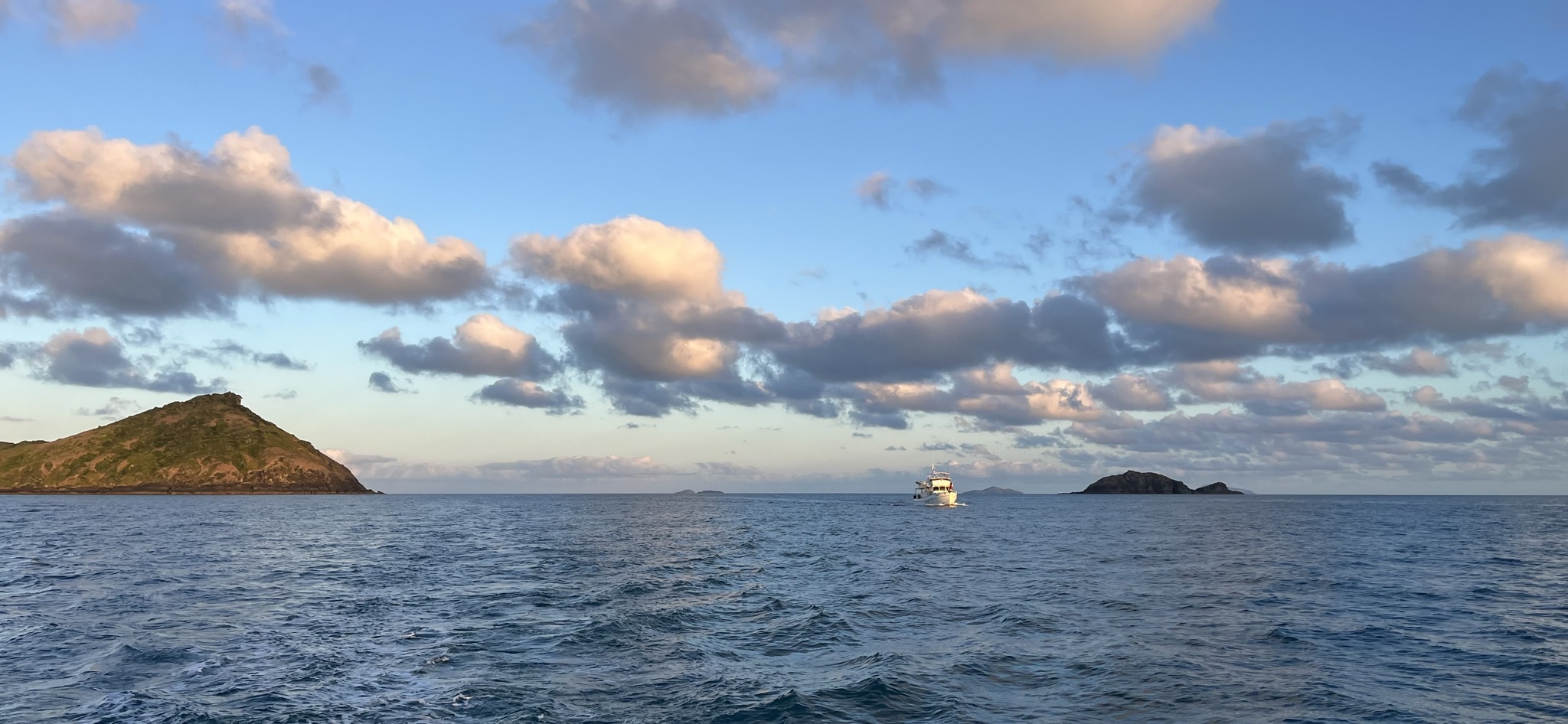 Cathy | SeaPeople App