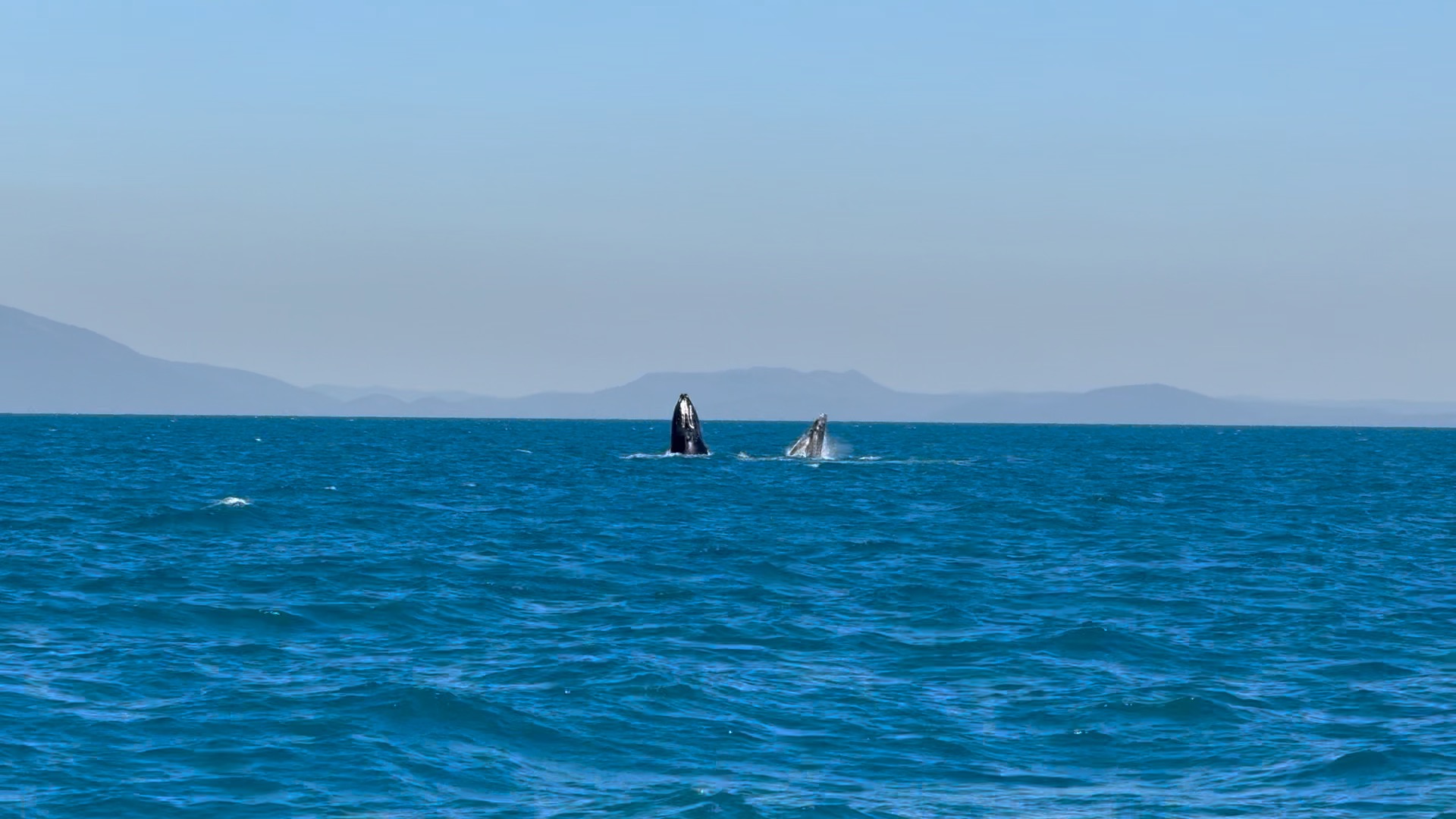 Tyler DeWitt | Fantastic sail from Townsville to Cape Upstart | SeaPeople App